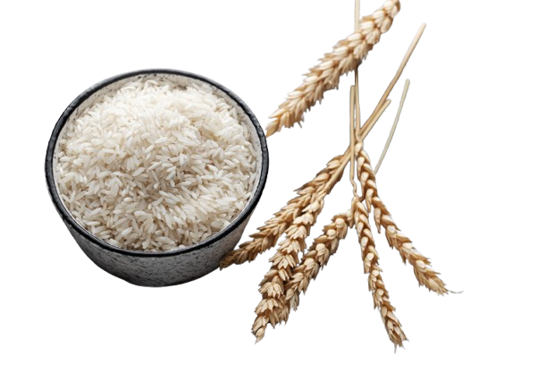 Rice is a staple grain in Ayurveda