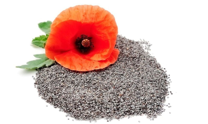 Poppy Seed Oil Hair | Shine & Strength Naturally